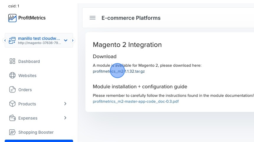 How to install the ProfitMetrics module in Magento 2